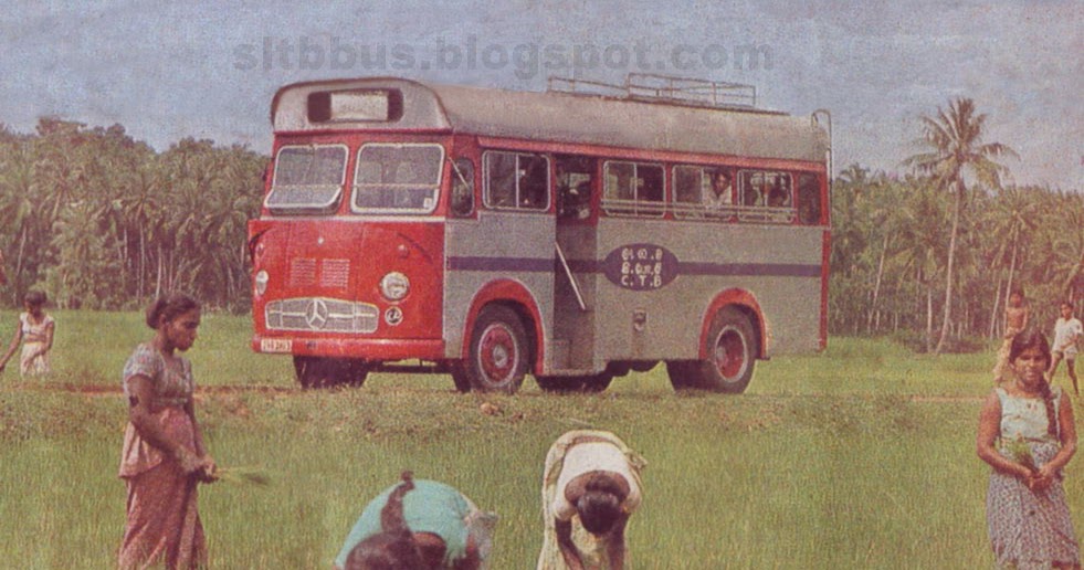 SLTB buses - ශ්‍රී ලංගම බස්: Classic Mercedes-Benz LP311/36 bus from ...