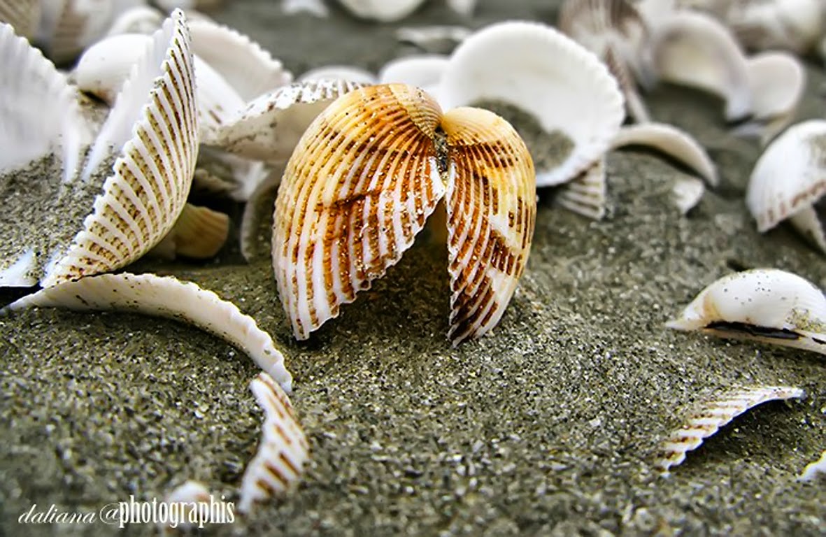 Photographis: October 2014