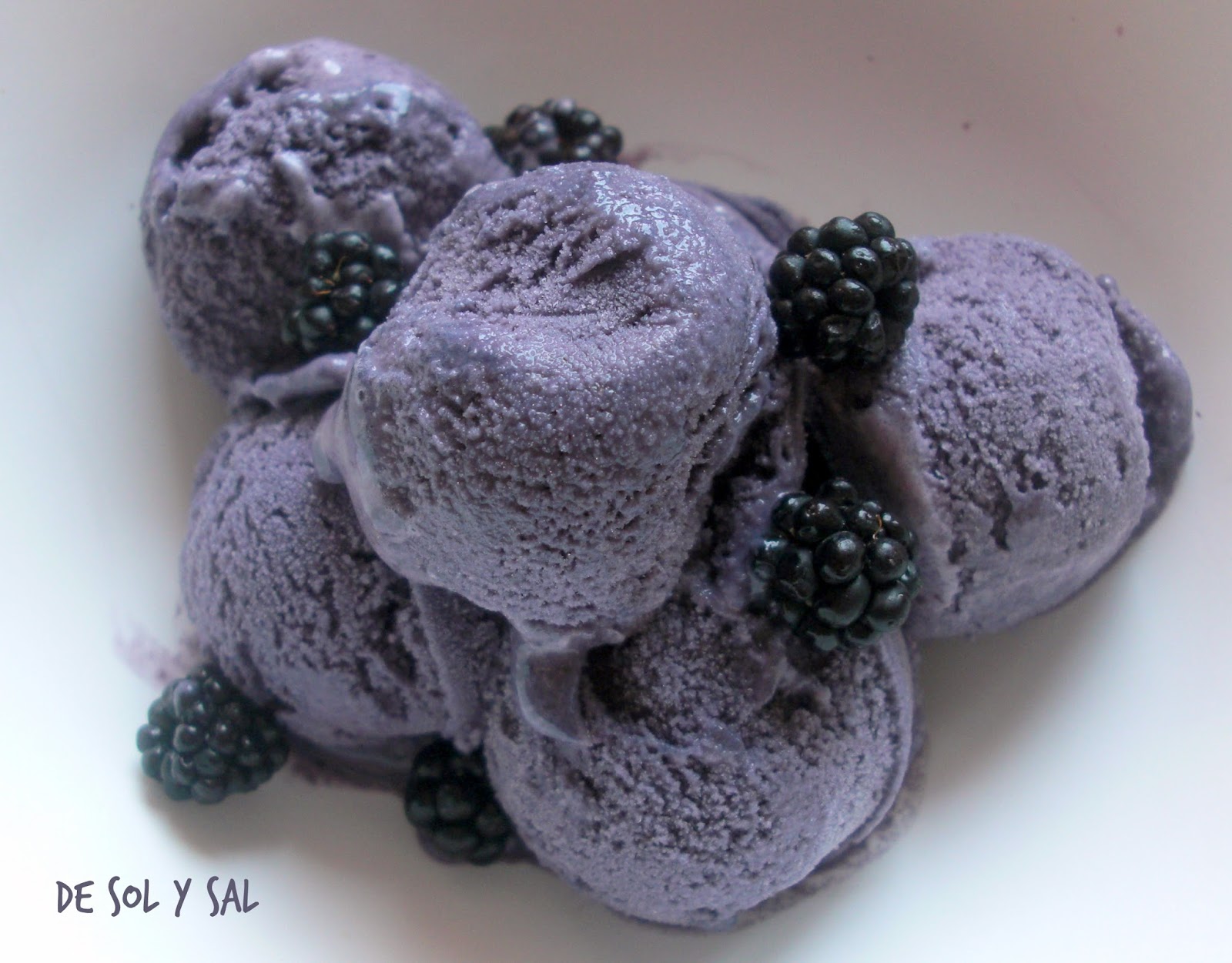 De sol y sal: Helado de moras silvestres
