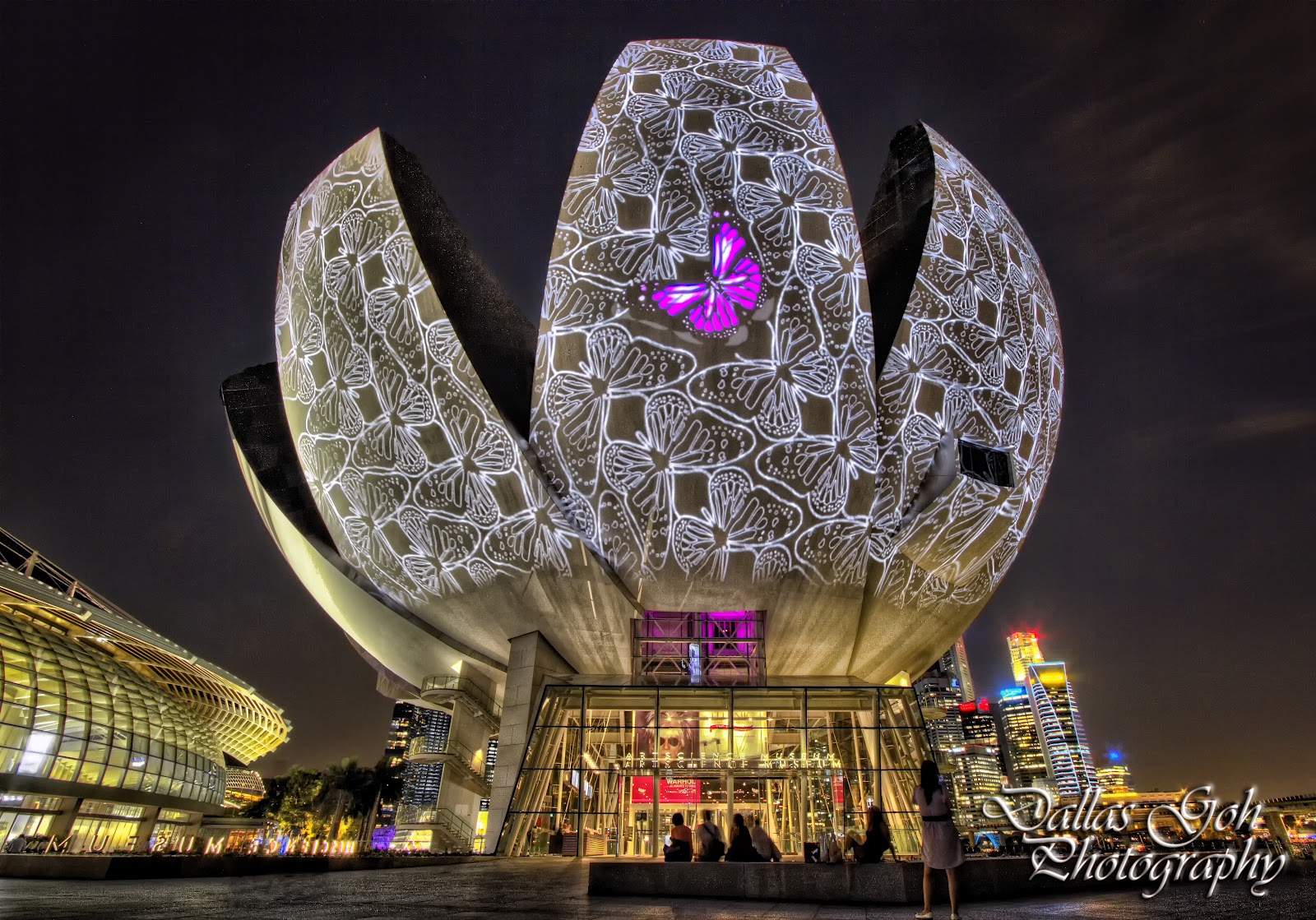 Marina Bay ArtScience Museum! ~ Dallas Goh Photography