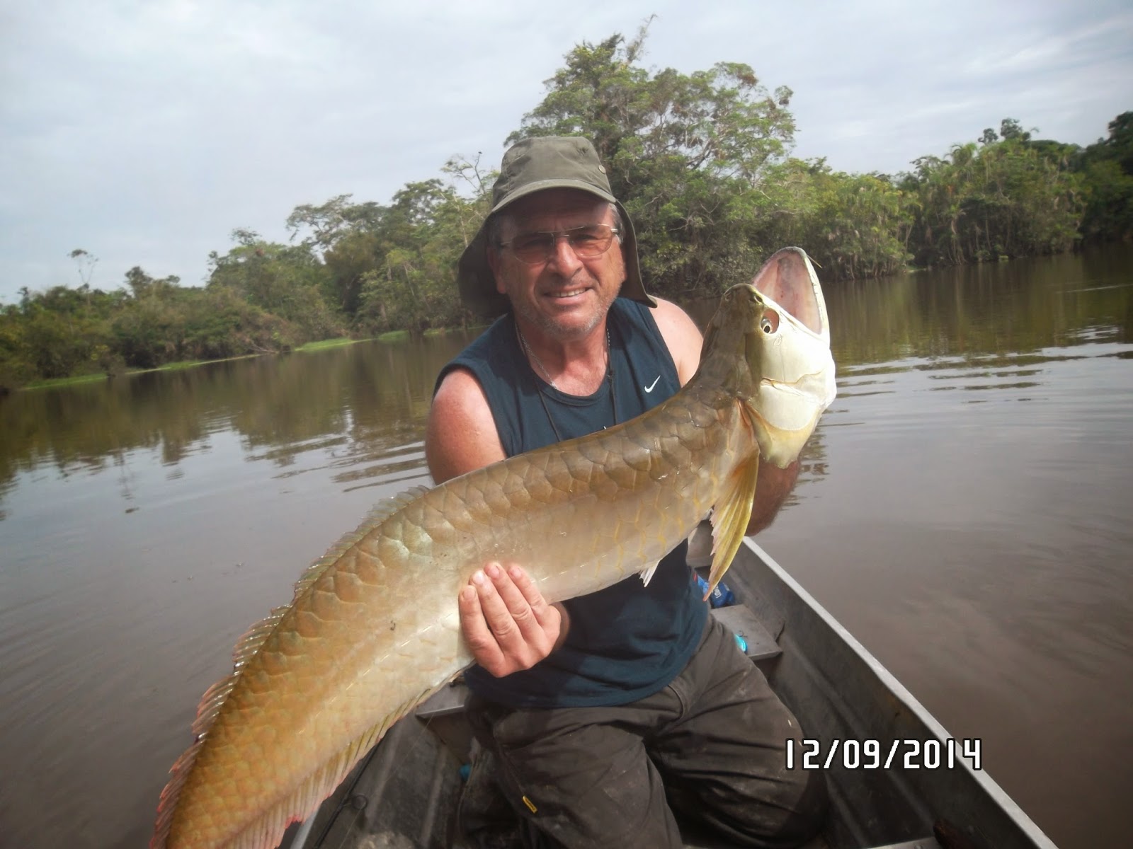Lobo de Mar: AMAZONAS: PESCA DEPORTIVA DE ARAWANAS, por Eduardo Cañueto