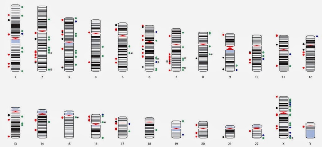 Aiden's Heroes- Autism Blog: Understanding Genetics: Y-Chromosome