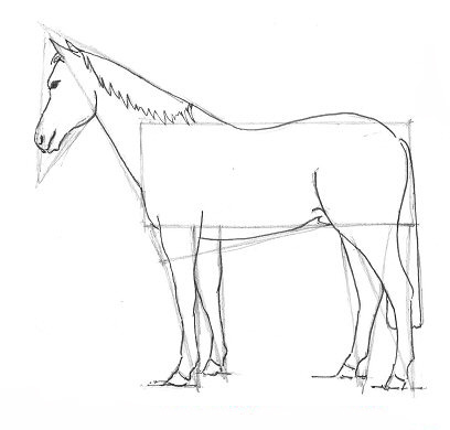 universul copiilor: Cum sa desenezi un cal