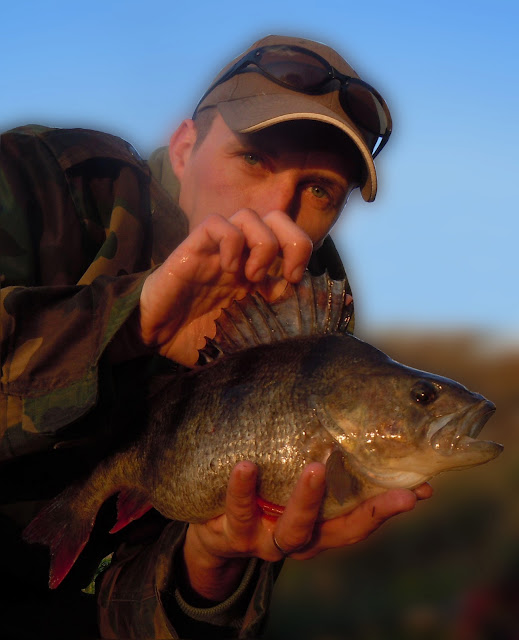 River Piker: Fat perch
