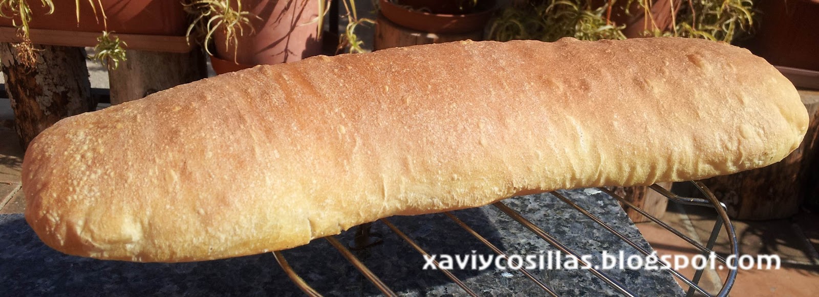 Panes: probando la autolisis | Xavi y sus cosillas