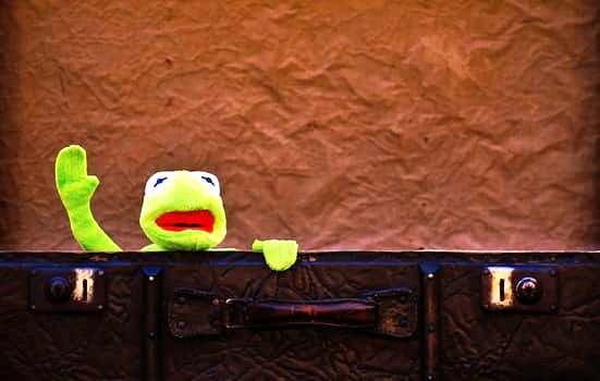 Download Free Funny Photo Gallery, Funny Stuff Funny Animal Pictures