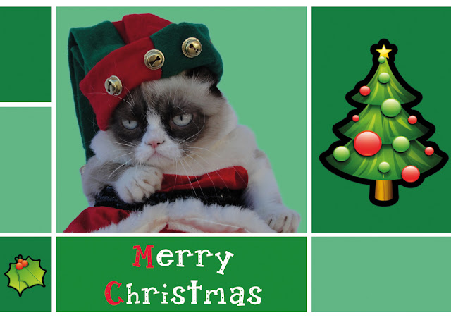 Grumpy Cat Christmas | Funny Collection World