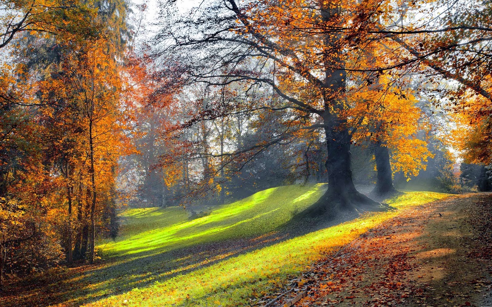 Herfst achtergronden met park | HD Wallpapers