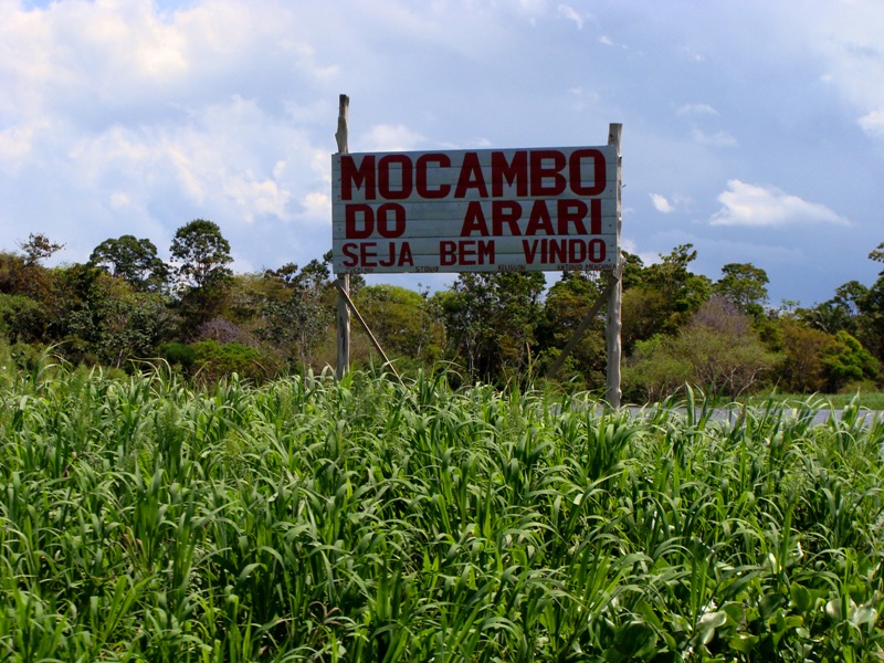 SANTA FOTOGRAFIA: Mocambo do Arari, Parintins / AM