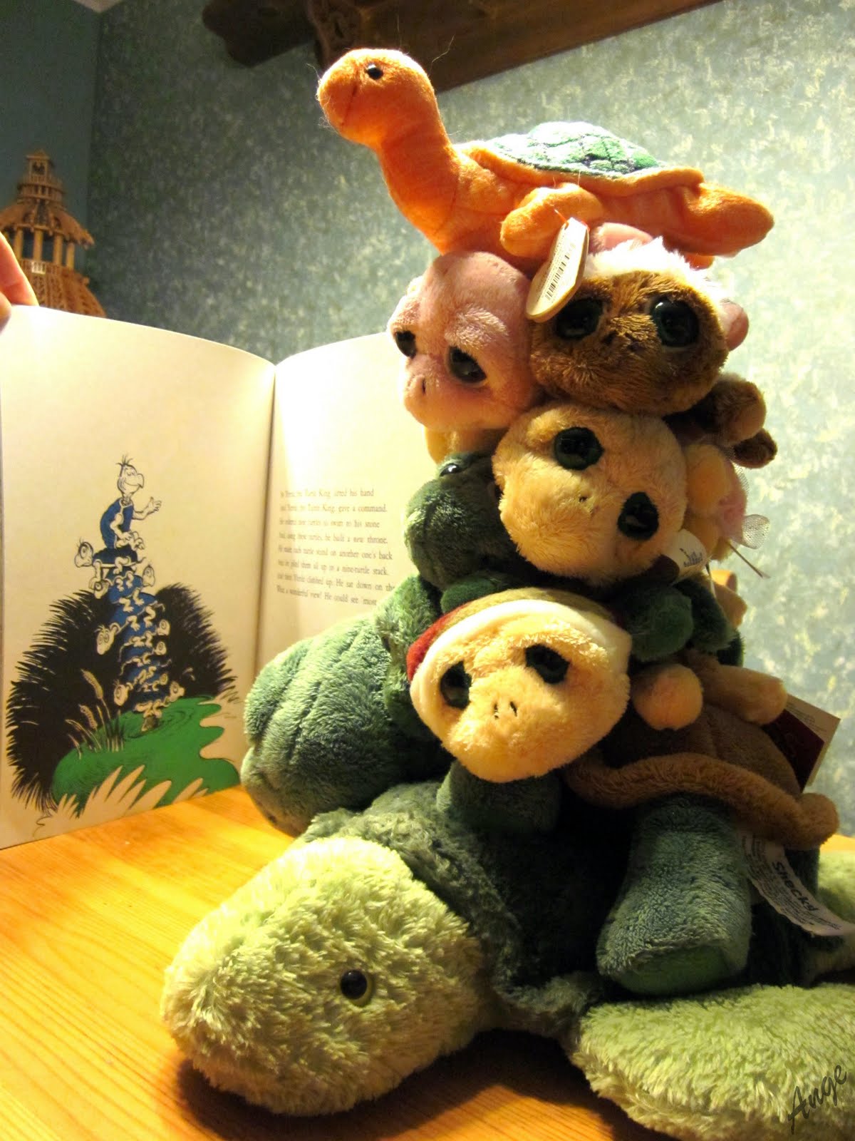 ~The Daily Turtle~: September 2011