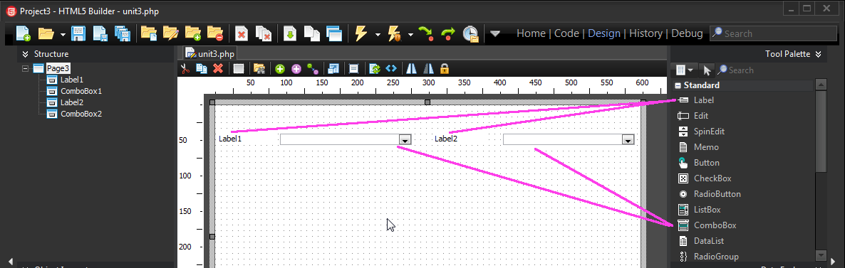 Learning Embarcadero HTML5Builder