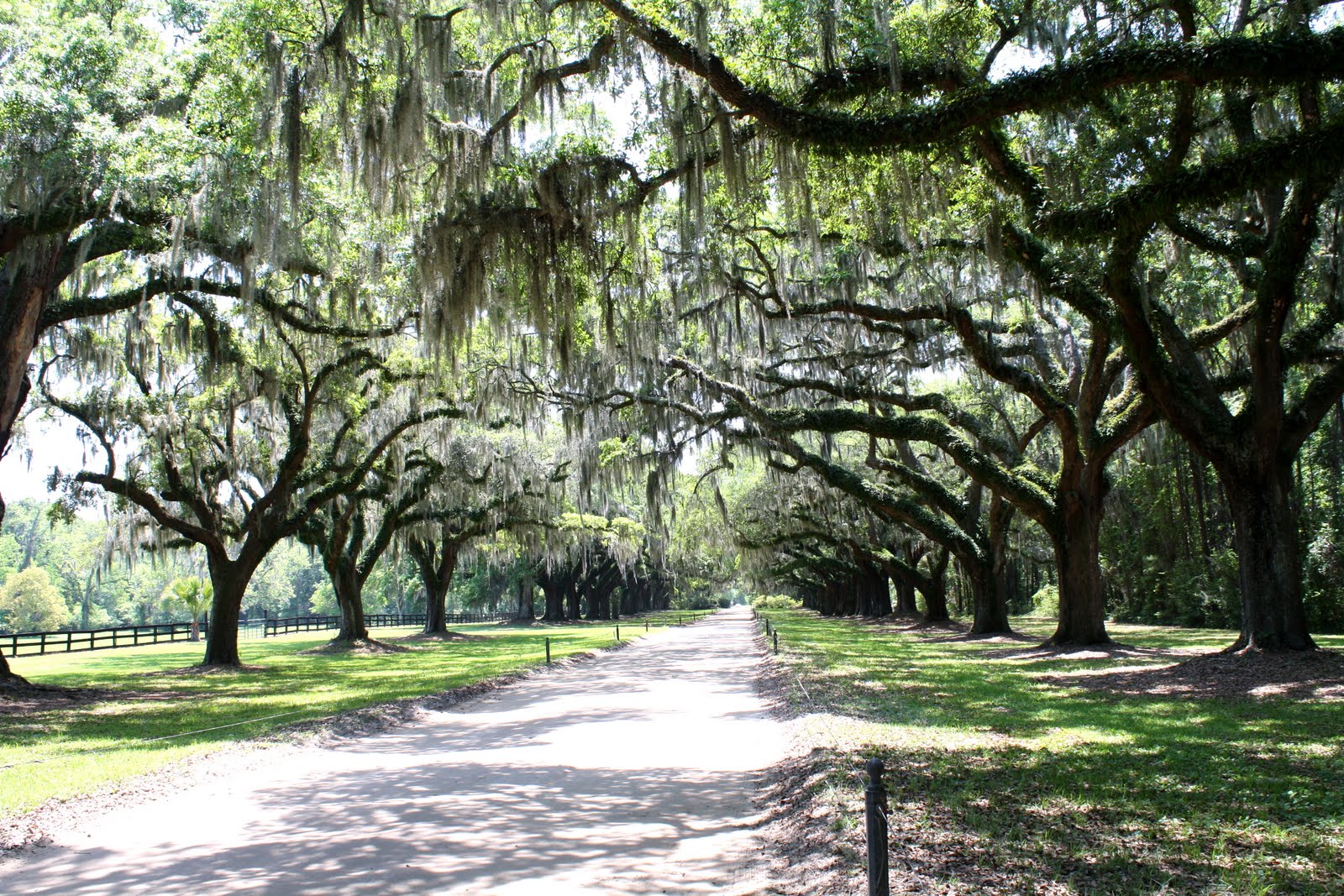 two doors down: Boone Hall Plantation