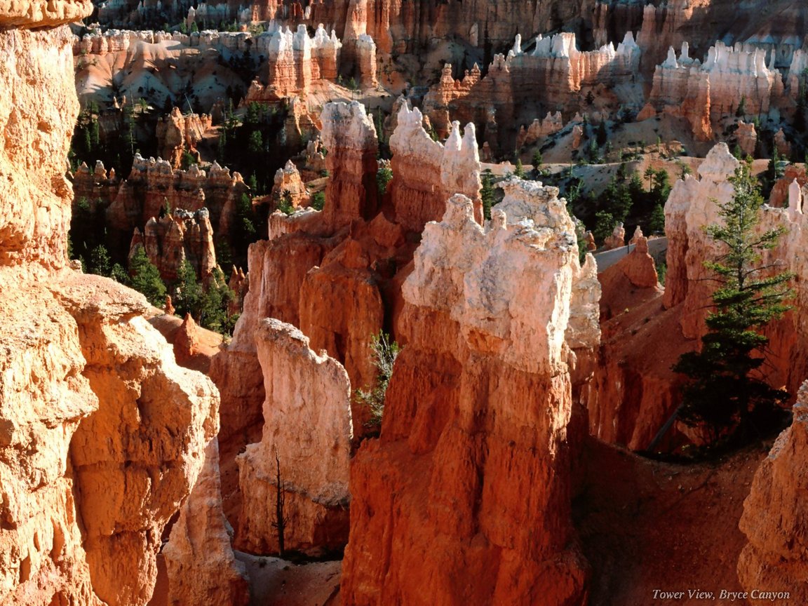 Wallpaper and Landscape Grand Canyon | Landscape, Wallpaper, beaches ...