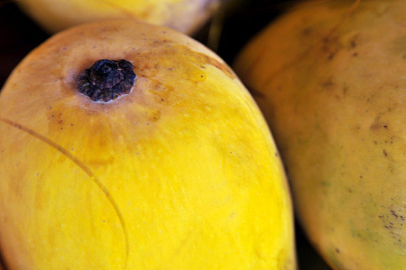 .: The Secret Lives of Mangoes