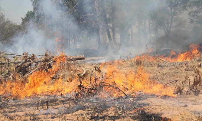 EMA launches veld fire campaigns in Midlands - The Mirror | Hear and be ...