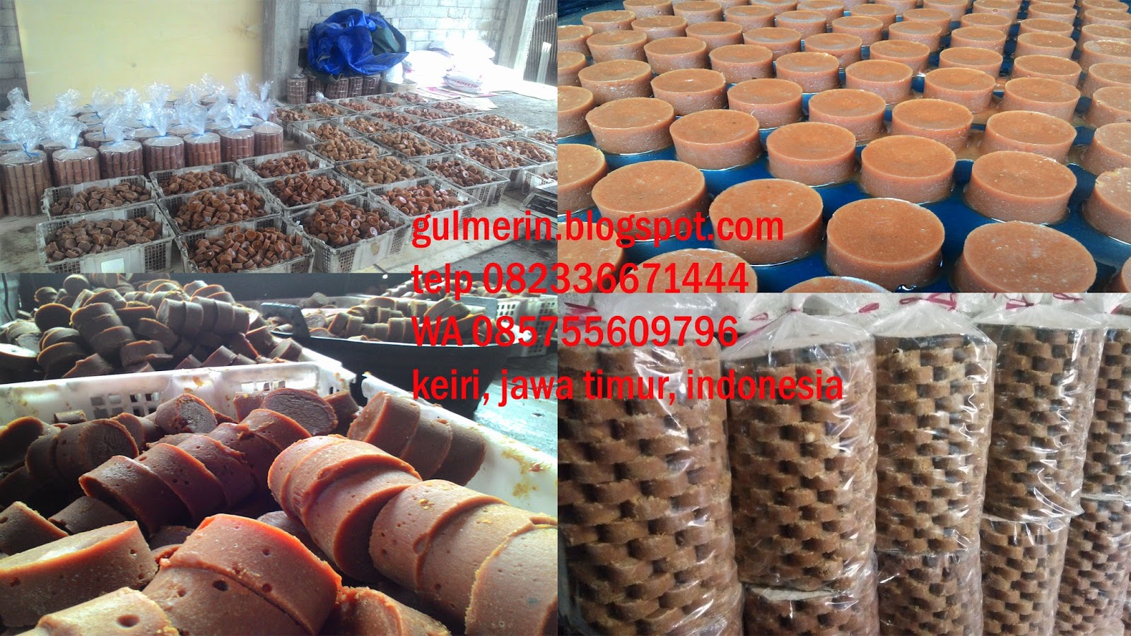 GULA MERAH INDONESIA: GULA TEBU KOIN