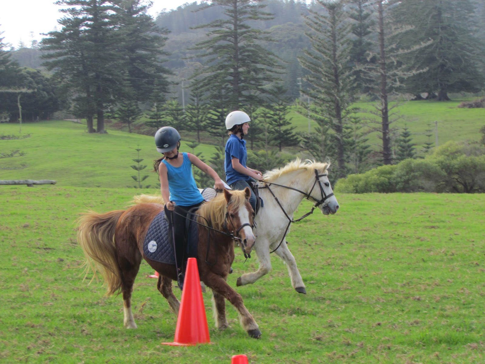 Norfolk Island Pony Club & Equestrian Association: Pony Club Rally Day ...