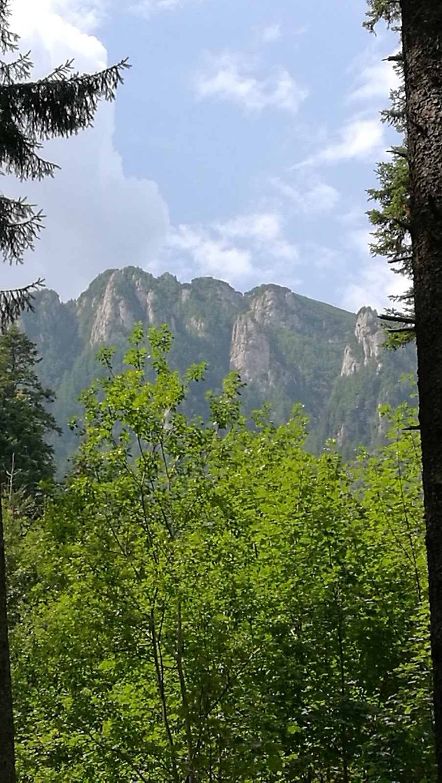 Wikiloc | Timisu de Jos Cañón de las Siete Escaleras y Barranco del Oso ...