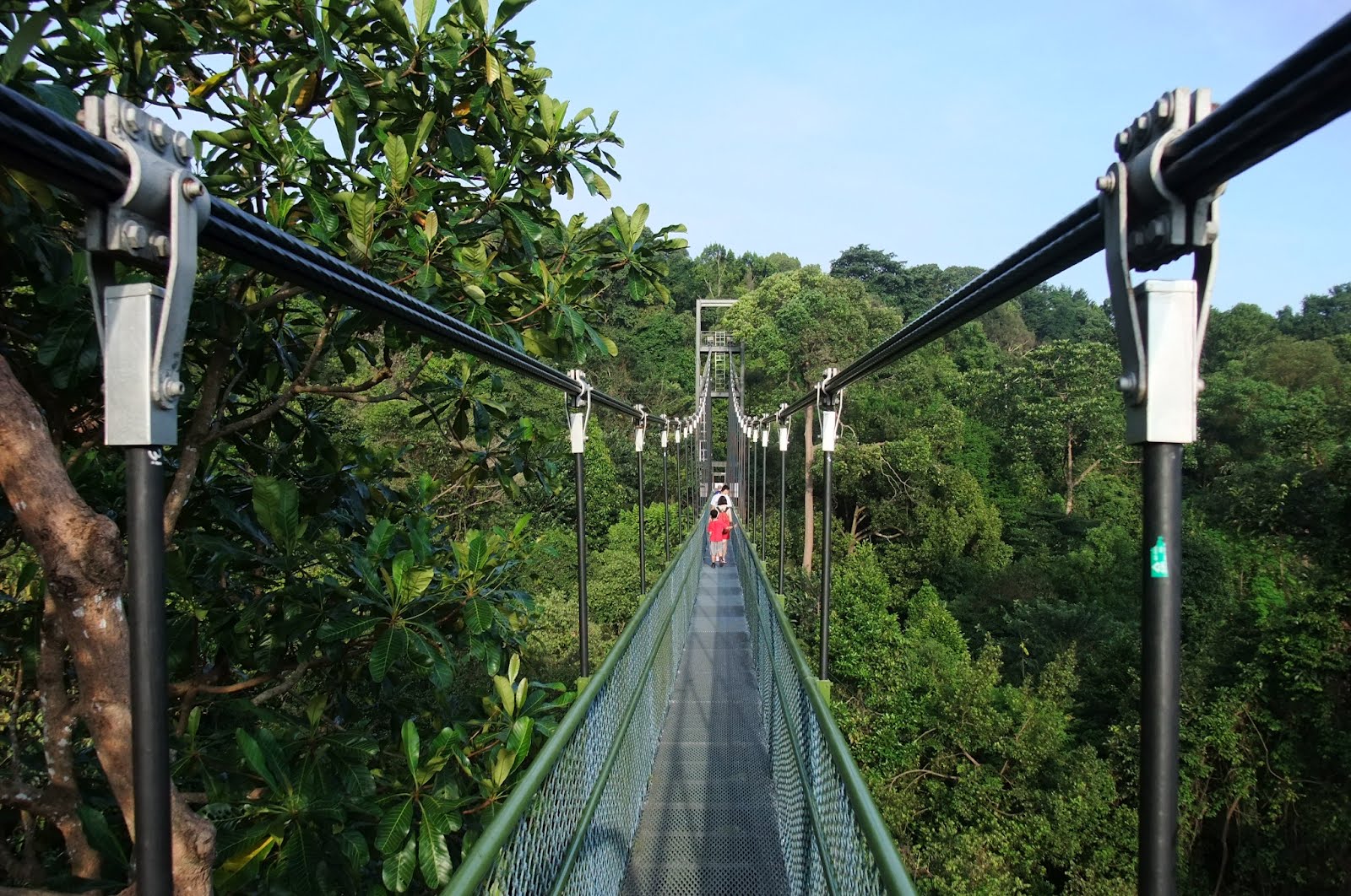 OMB: Singapore TreeTop Walk