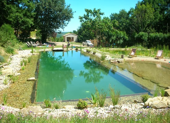 Ecological Pools: Natural Swimming Ponds Home | Garden Park