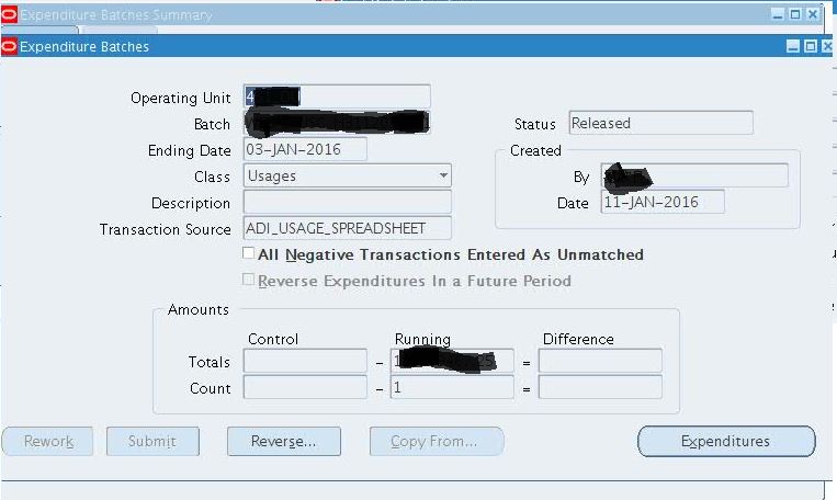 Oracle Apps E-Business Suite: Delete expenditure item- PA Expenditures
