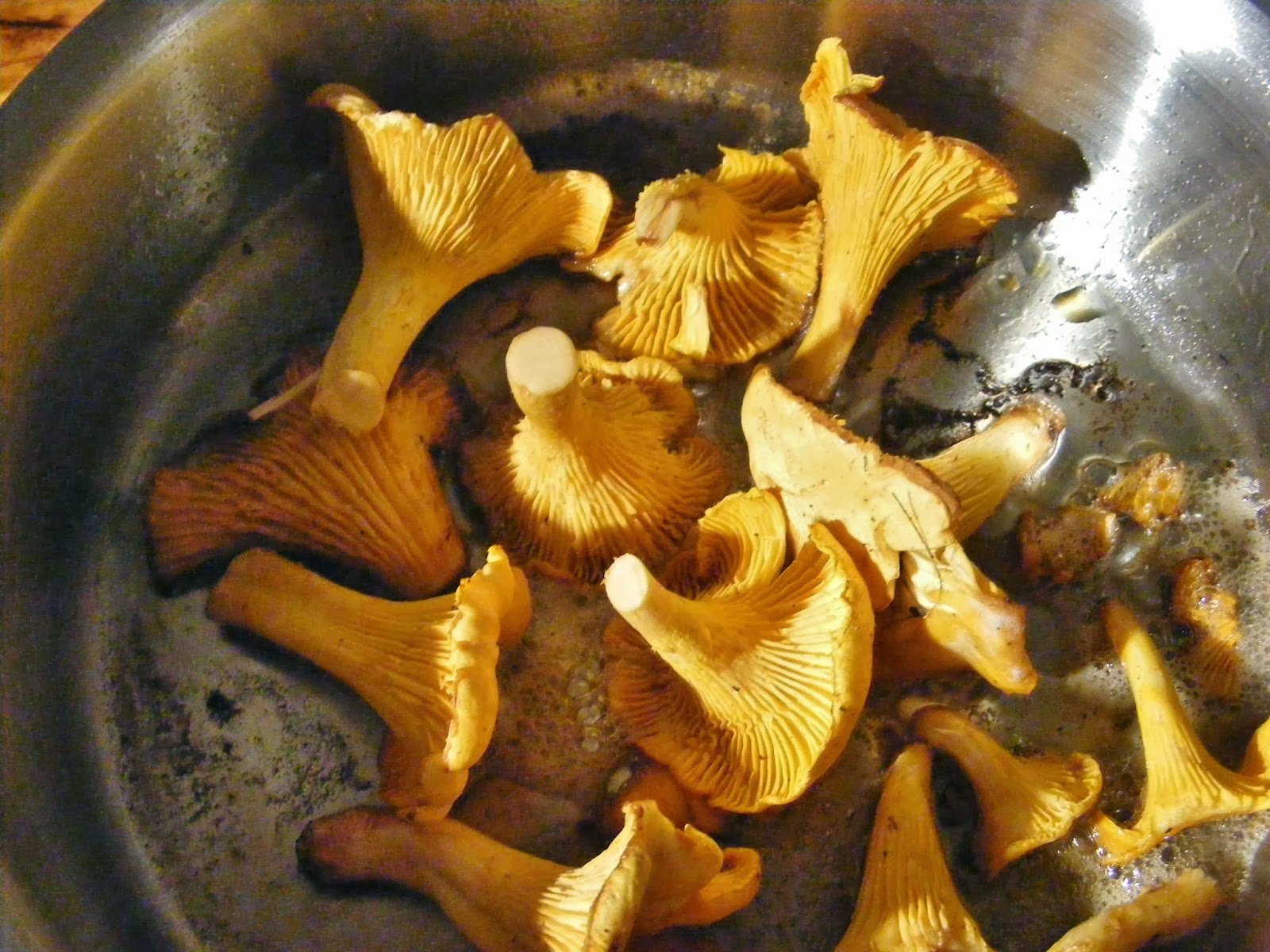 Sandy's France: Recipe of the Month: Girolles provençales