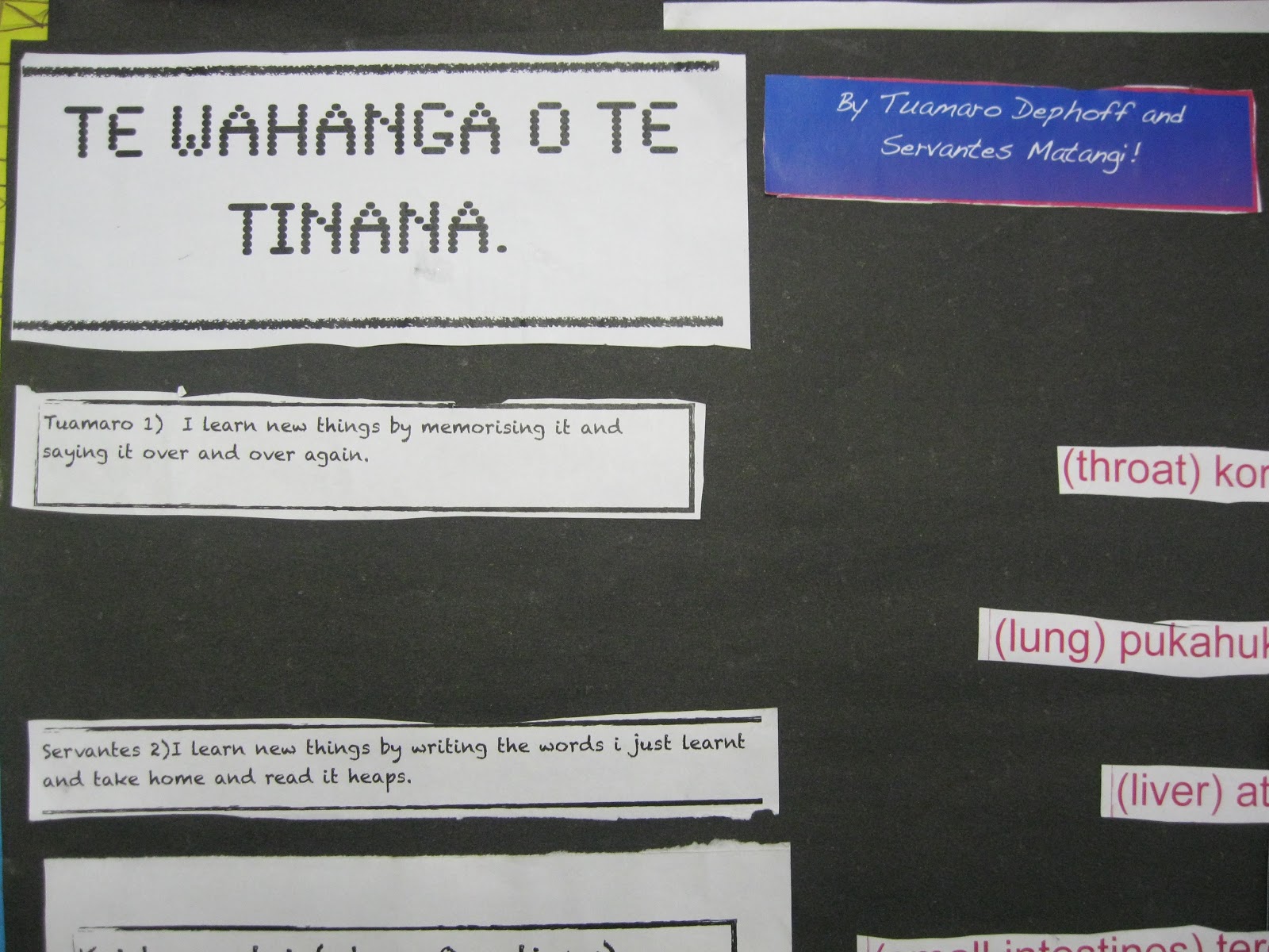 Our karaehe - Hapu Kotahitanga: Term 3 Te wiki o te reo maori - July