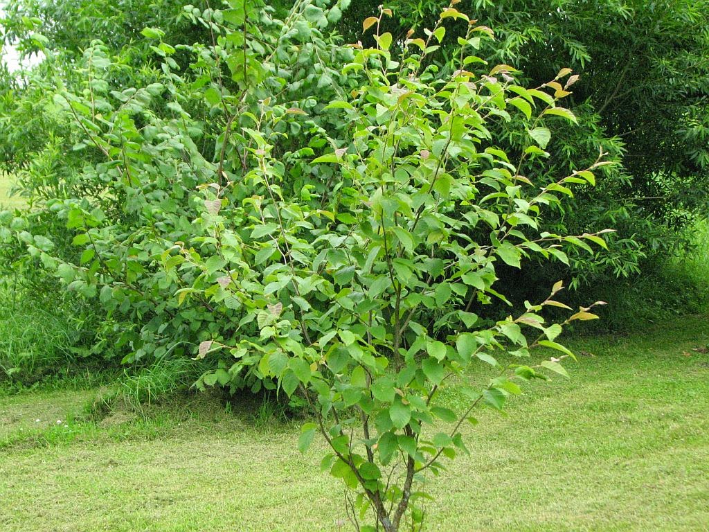 kahe valla piiri peal: oktoober 2014