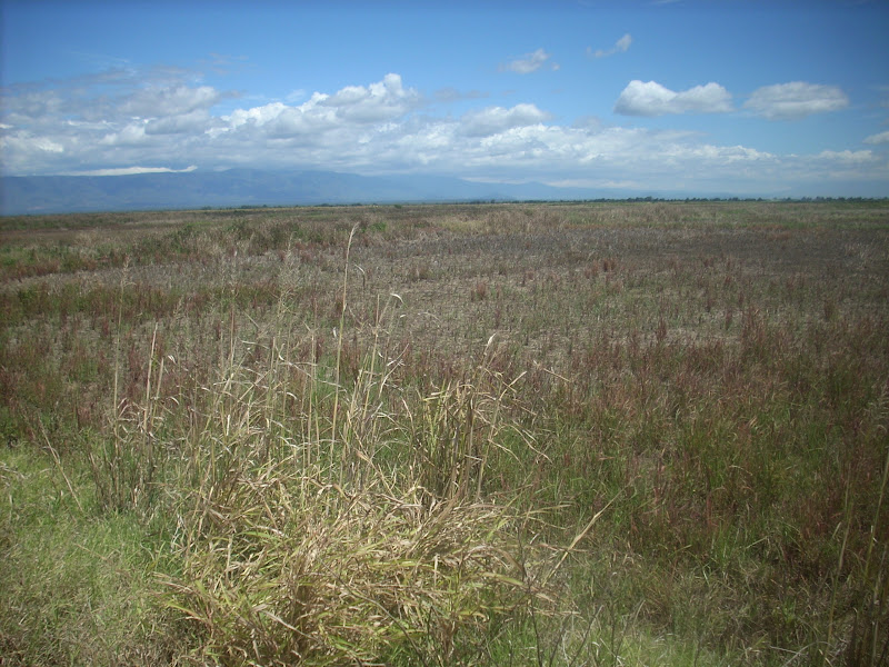 MKUU WA WILAYA ASAIDIA KUZIMA MOTO TREKTA LA MWEKEZAJI BAADA YA ...