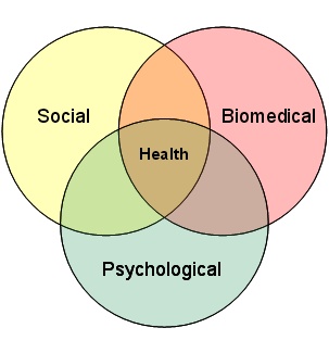 Premedical Success: The Anatomy of Compassion and Creative Genius: MCAT ...
