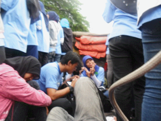HIMA ADP UNY