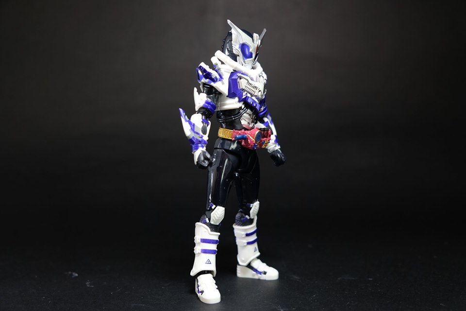 Firestarter's Blog: Toy Review: S.H. Figuarts Kamen Rider Mad Rogue