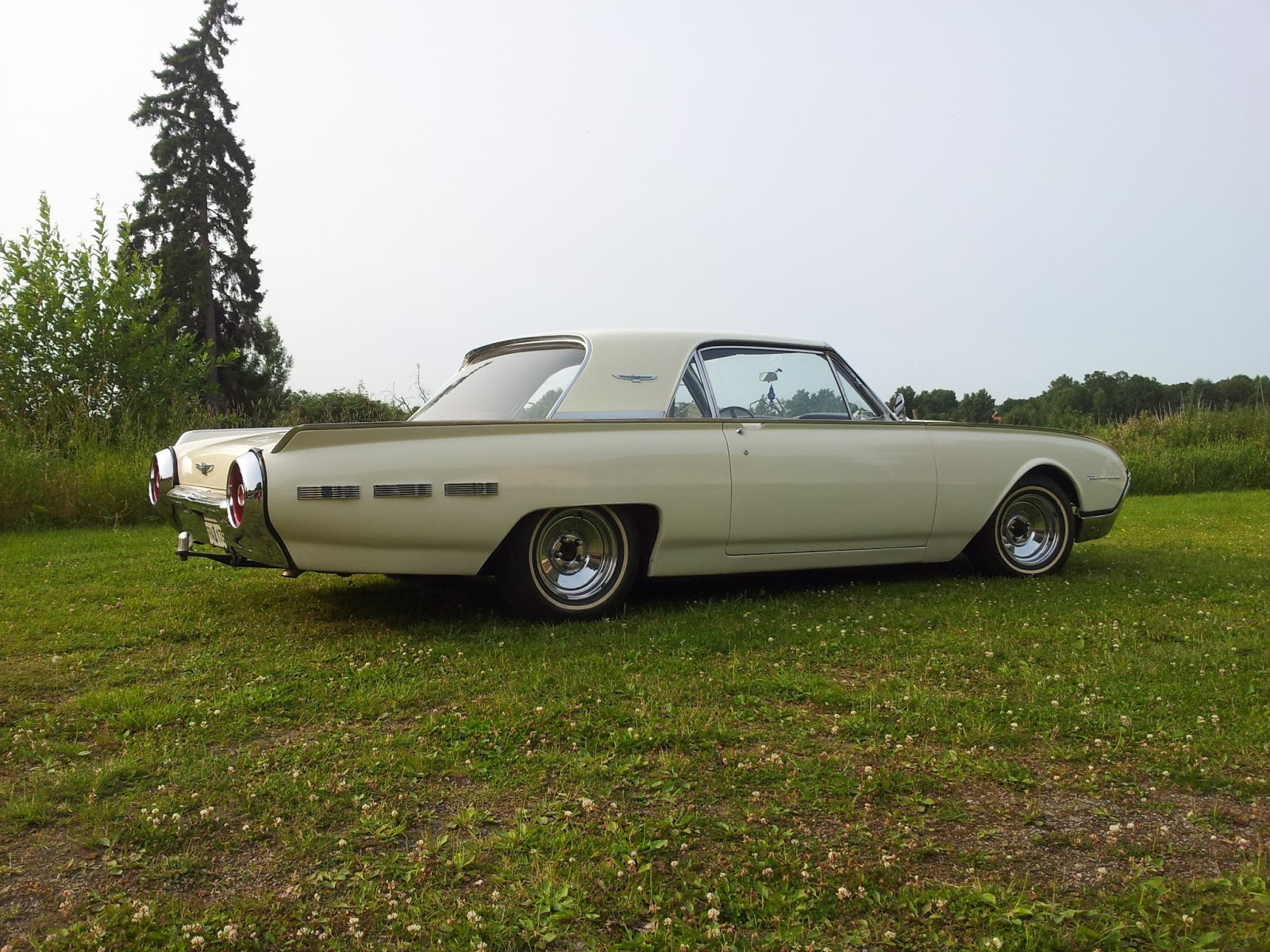 Bullet T-bird Rideheight - help needed! | The H.A.M.B.