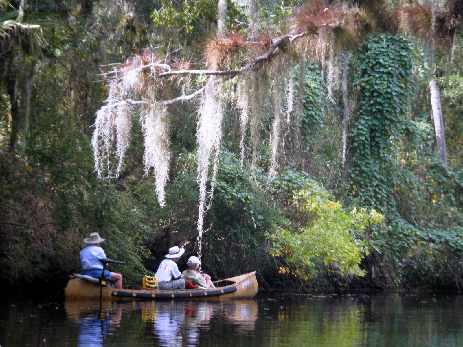 Field Notes and Photos: Shell Creek Paddle: a Sierra Club Outing