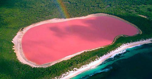 The Presurfer: World's Most Bizarre Natural Phenomena