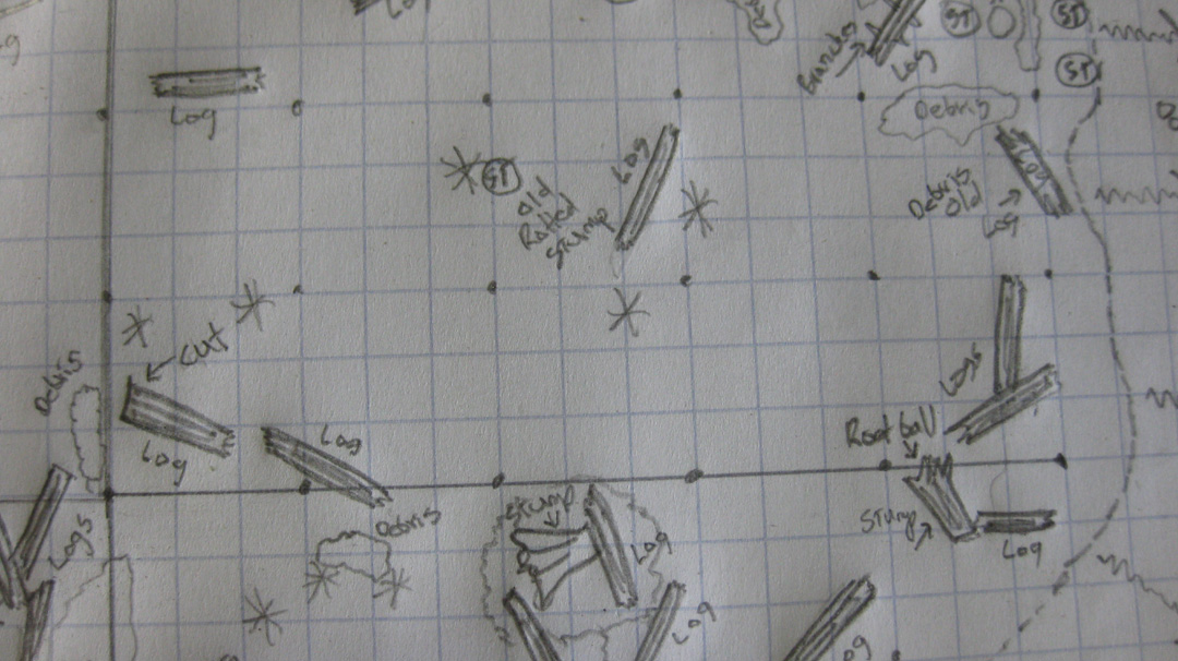 BIGFOOT'S bLOG: Bluff Creek Film Site Project, Journey of Rediscovery ...