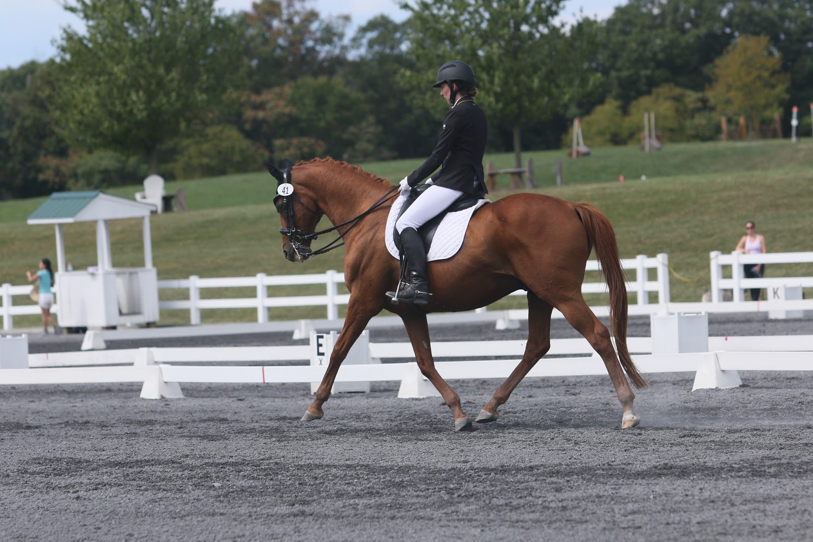 Logic Lane "Guinness"