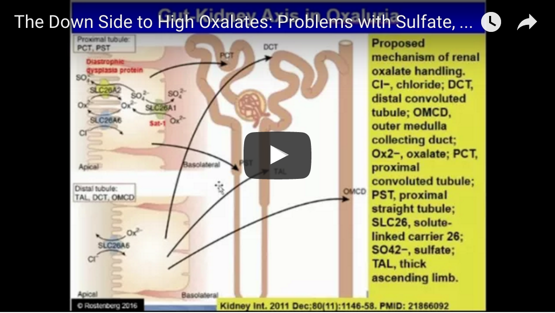 The Down Side to High Oxalate Levels
