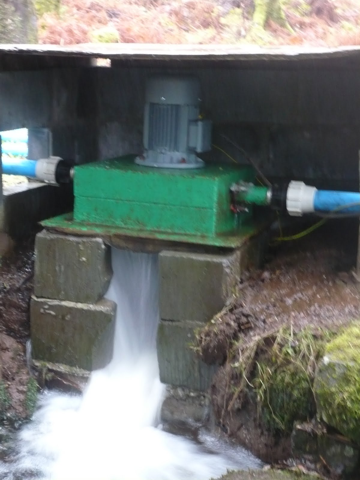 Sarah Cope: Eigg: Big Green Footsteps for us to follow