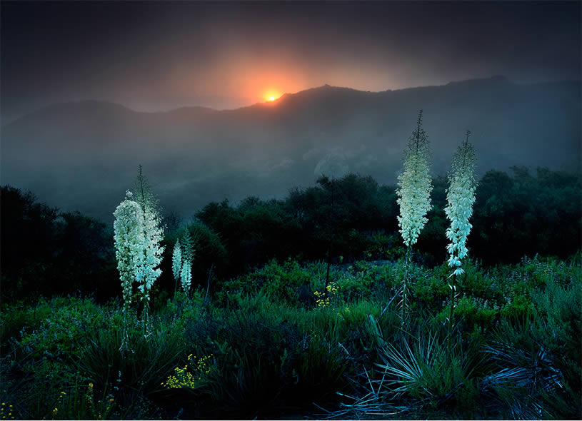 Amazing Beautiful Moon Photography