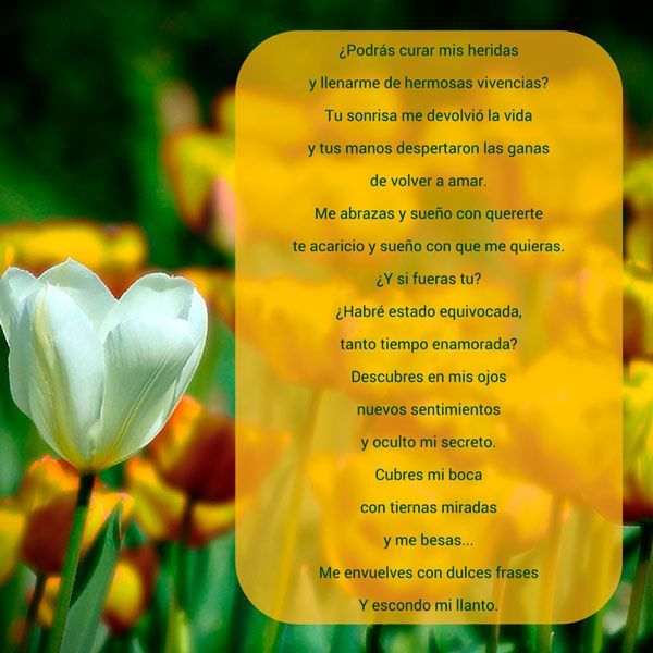 Solo yo: Los poemas románticos de Poemas.top