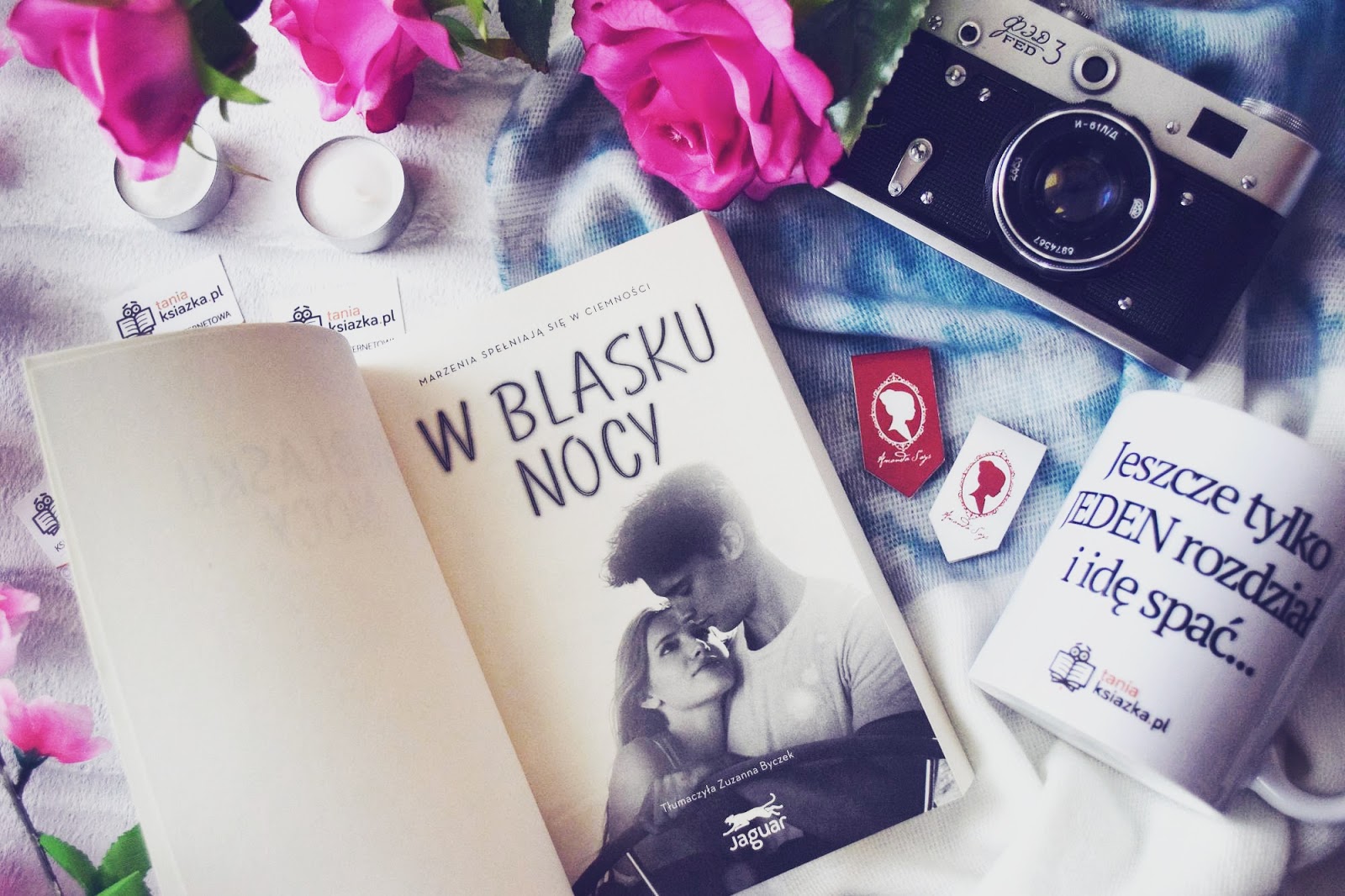 Amanda Says: W blasku nocy - Trish Cook