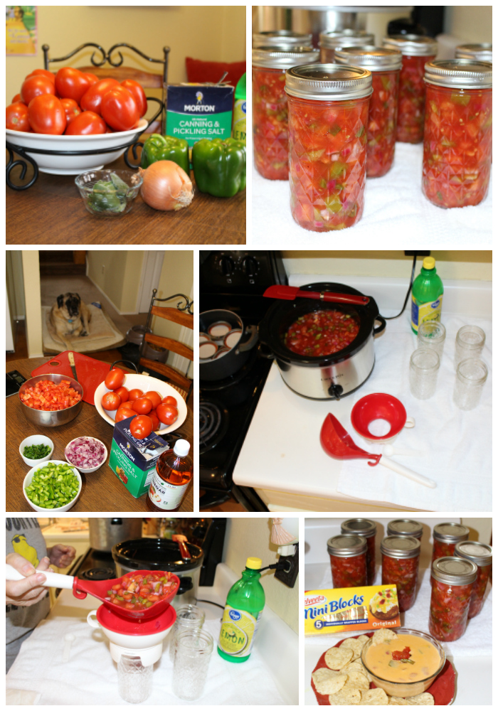 Texas Kirkwoods: Canning Rotel Styled Tomatoes and Green Chilies