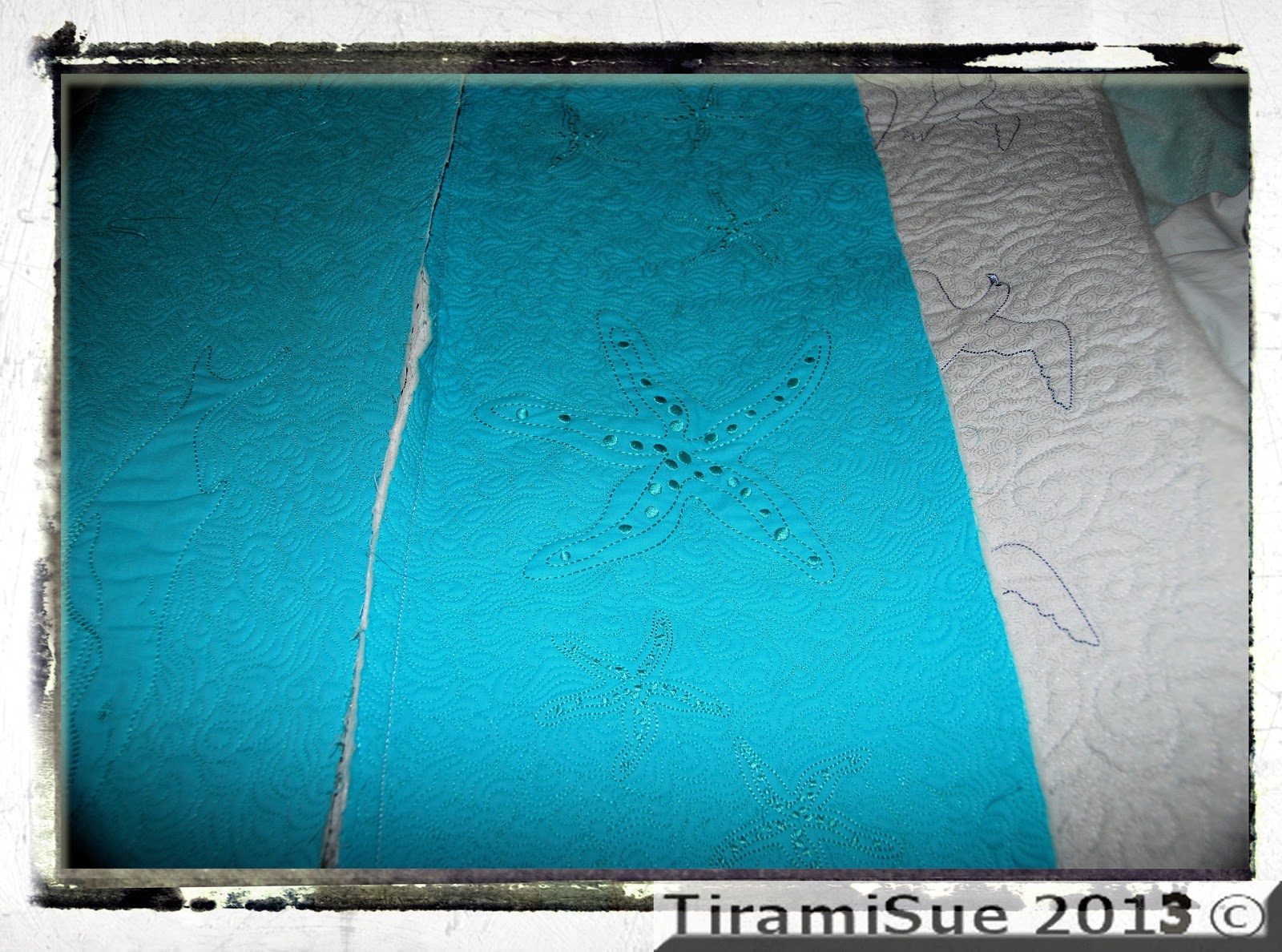 TiramiSue: STAR FISH AND HUMPBACK WHALES