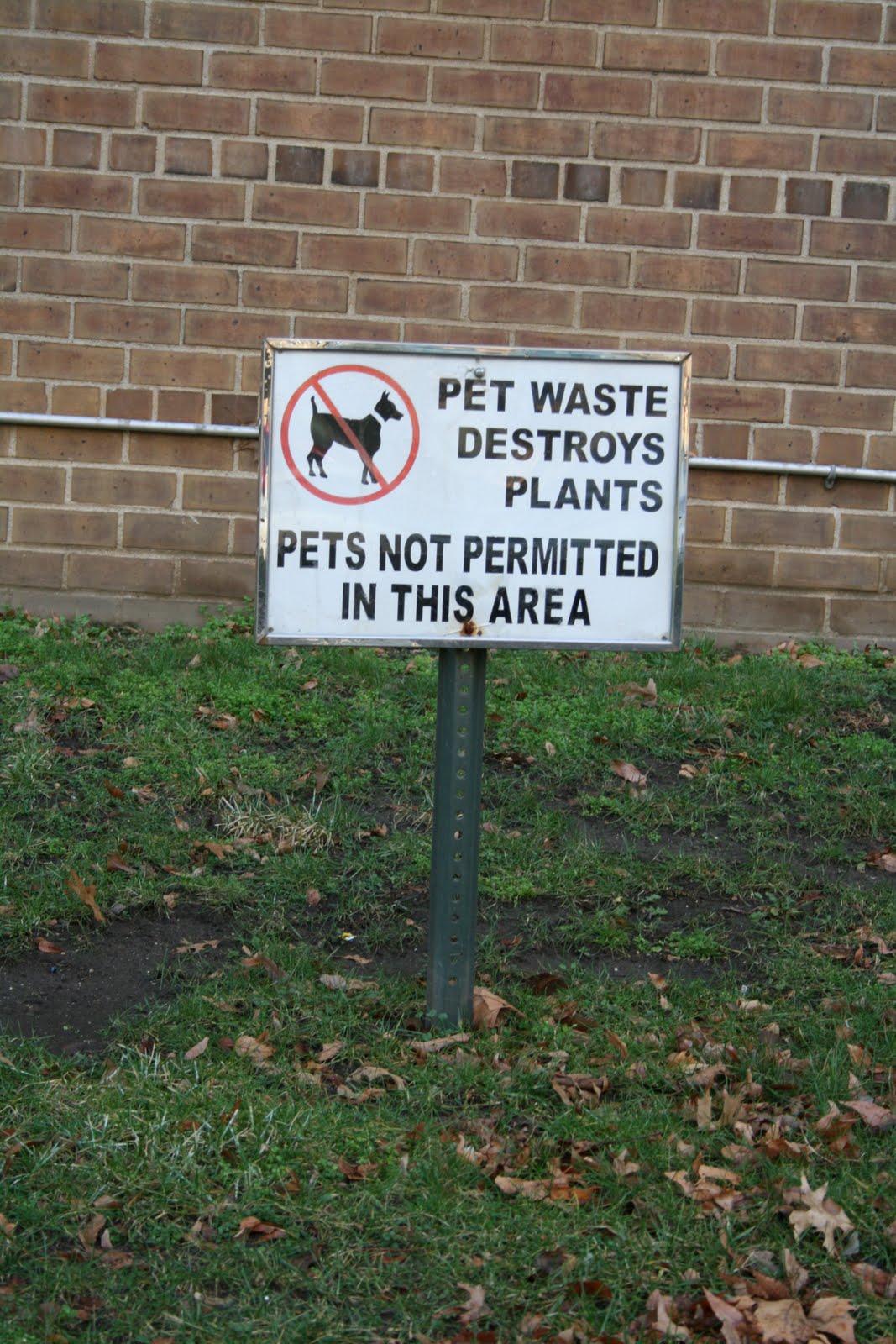 General Psychology: Environmental Signs About Pet Waste