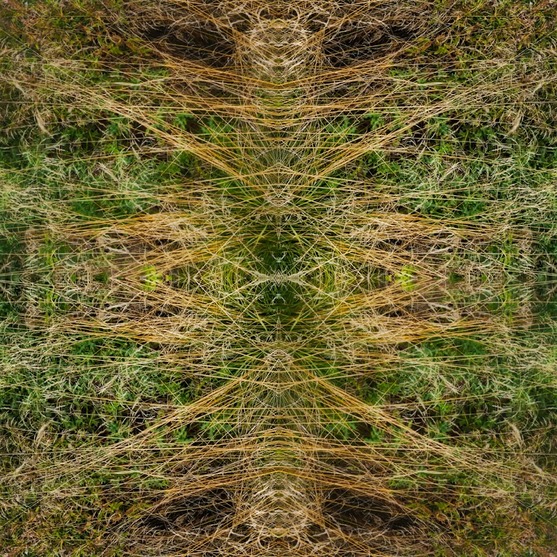 On Photography: Mirror-Tessellation Photography by example