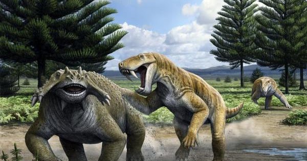 TRAS LAS HUELLAS DE HERÓDOTO. . . : GORGONOPSIA