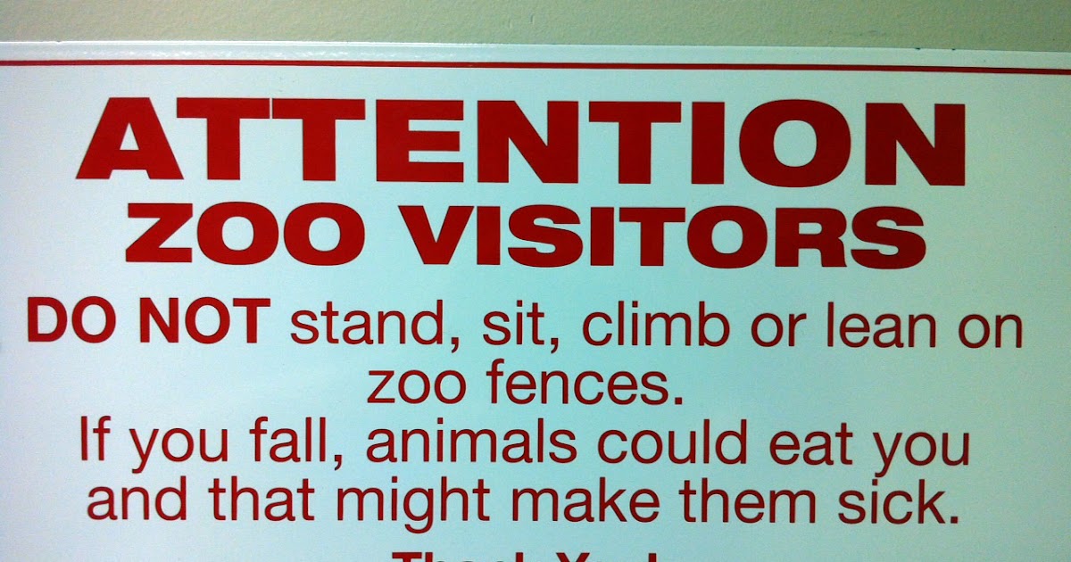 Stitchfork Designs: Zoo advice.....