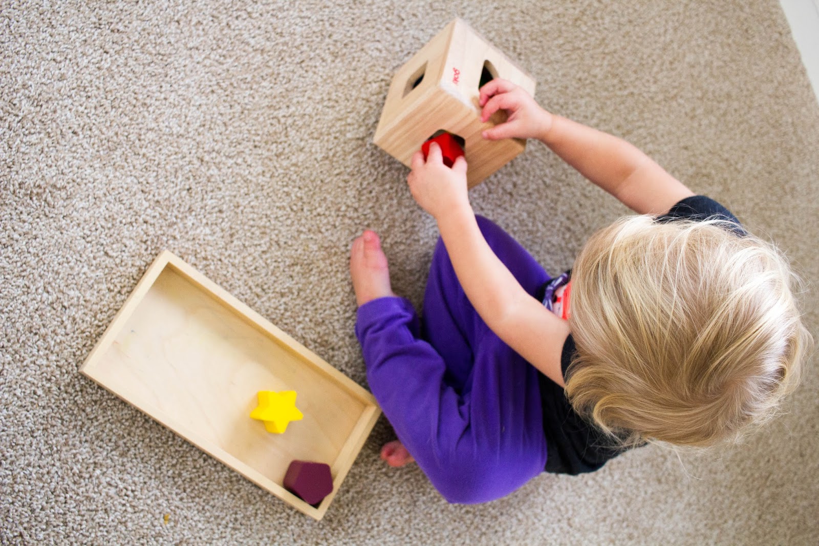Shape Sorting: Early Math for Toddlers