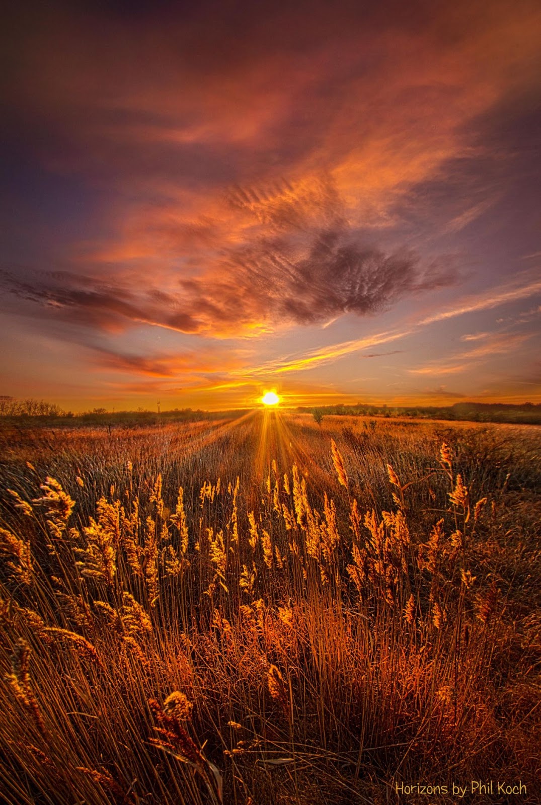 Autumn Field Sunset ~ Marvelous Nature